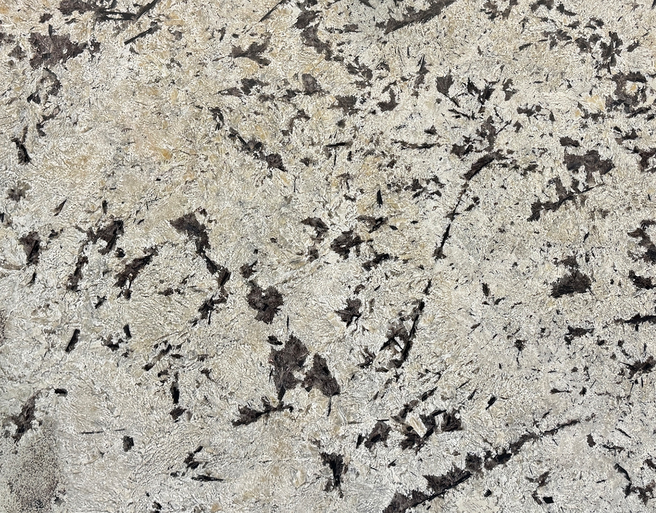 WHITE SPLENDOR POLISHED - Ceramic Tile Center